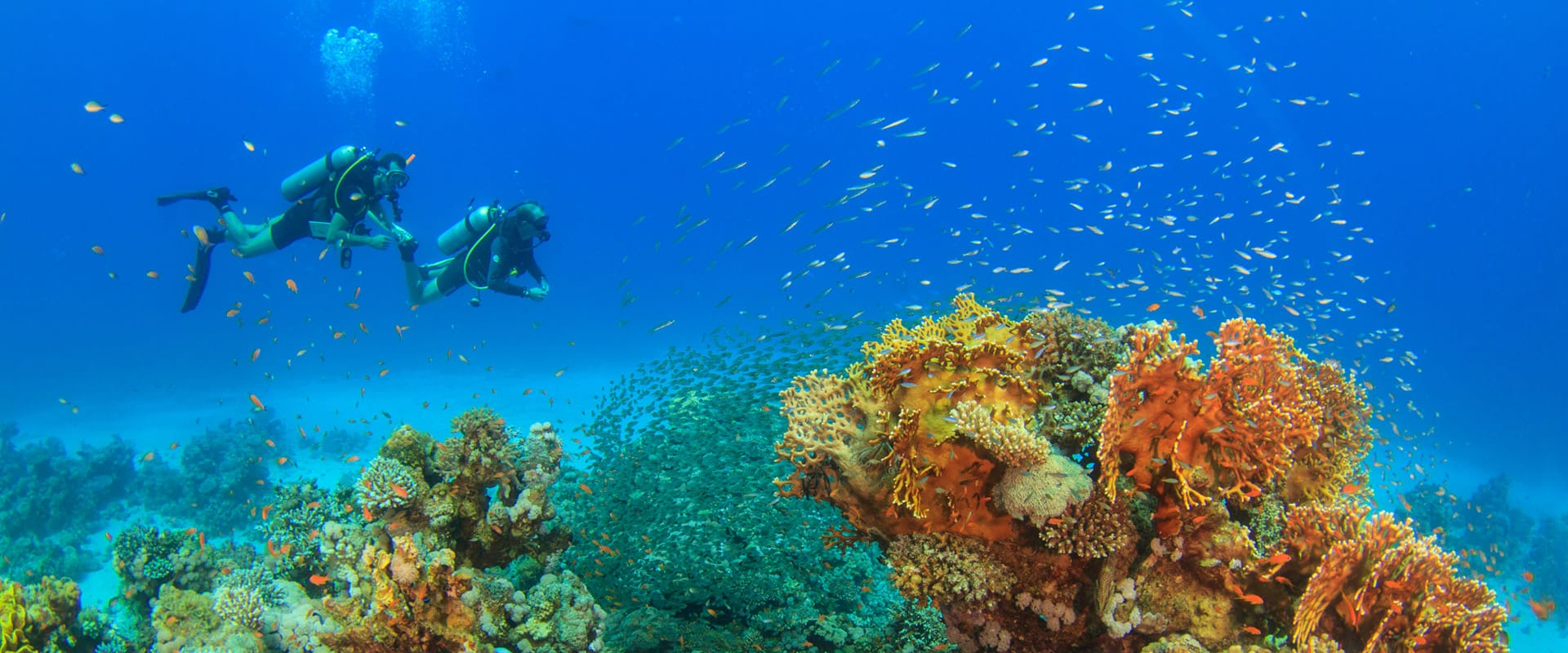Scuba Diving in Dahab - H2O Divers Dahab